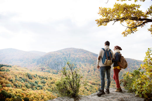 The Great Transition:Say Goodbye to Summer and Hello to Fall